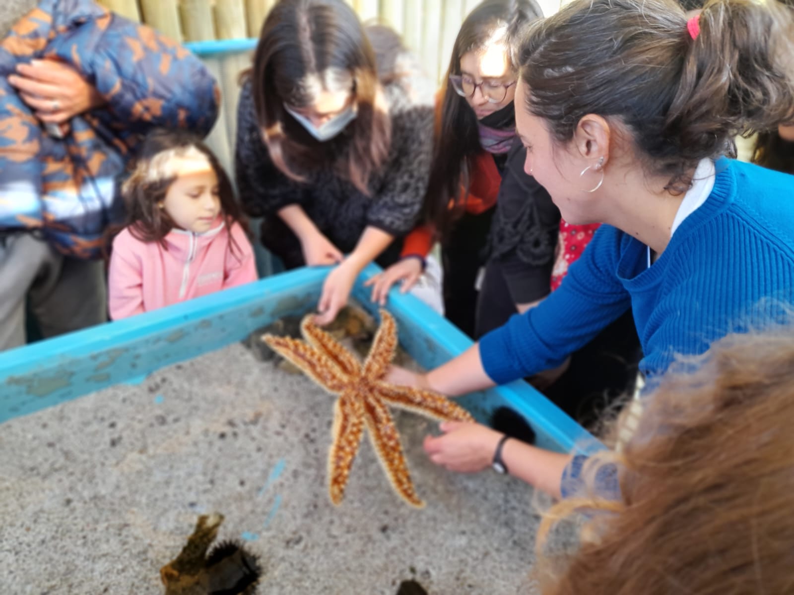 ¿Qué es Chile es Mar? - Facultad de Ciencias Biológicas