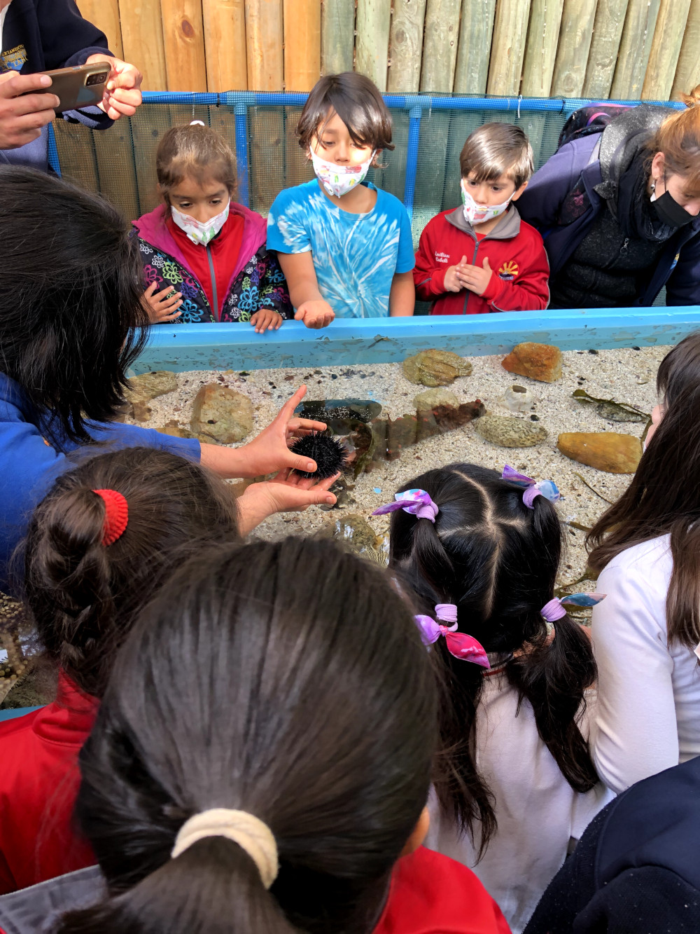 ¿Qué es Chile es Mar? - Facultad de Ciencias Biológicas