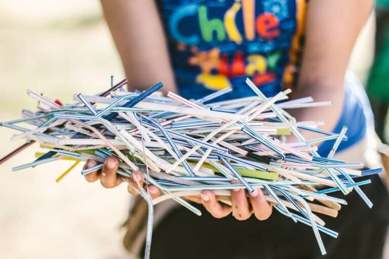 ¿Qué es Chile es Mar? - Facultad de Ciencias Biológicas